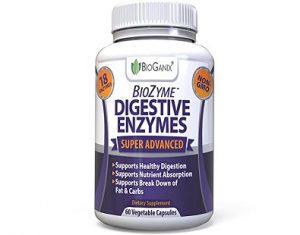 BioGanix BioZyme Digestive Enzymes Review | Review Critic